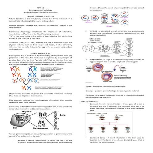 Heredity and Environment | PDF
