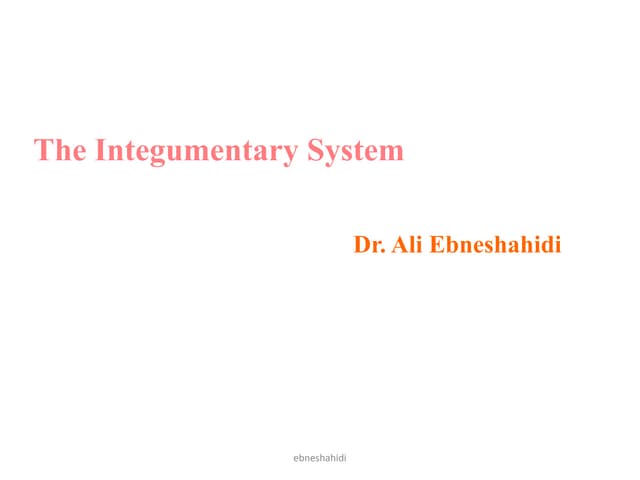 Nursing Integumentary System & Disorders.ppt