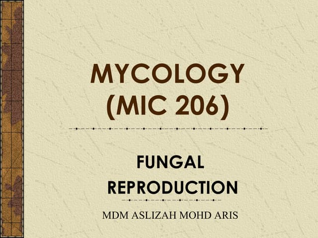 Sexual Reproduction In Fungi Pptx