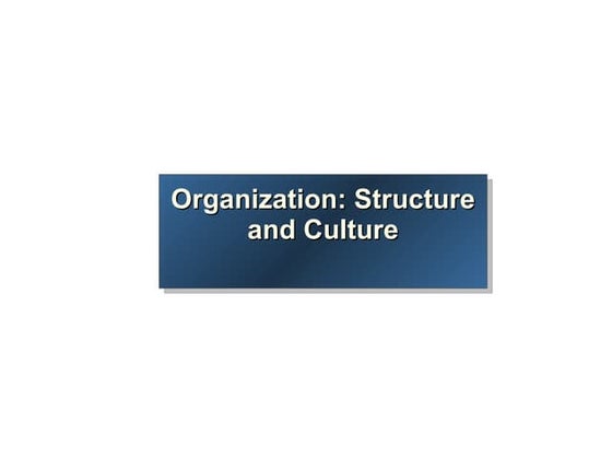Organization and team structures | PPT | Programming Languages | Computing