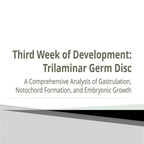 Second Week of Human Development: Bilaminar Germ Disc Formation ...