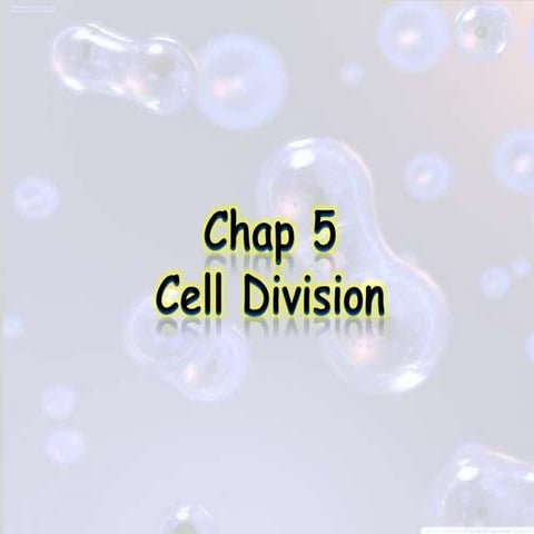 Chap 5 | PPT