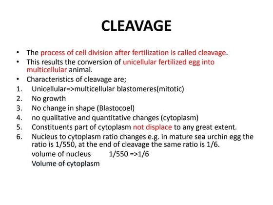 Cleavage, Types of cleavage | PPTX | Biological Sciences | Science