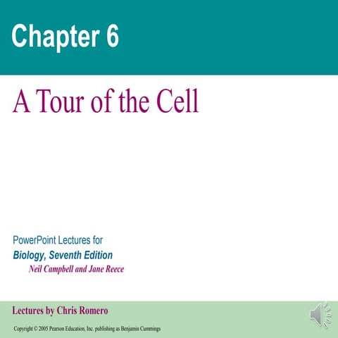 Chap 6 lecture Part 1 with Audio | PPT