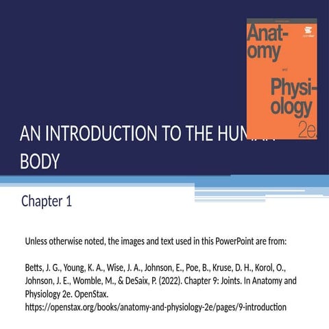 BIO 168 An Introduction to the Human Body | PPTX