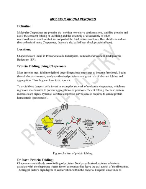 Heat shock proteins presentation | PPTX