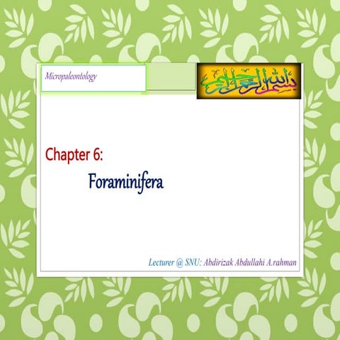 chapt. 6 Foraminifera - Copy.pptx