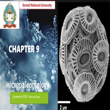 chapt. 9 nannofossil coccolithophores (1).pptx