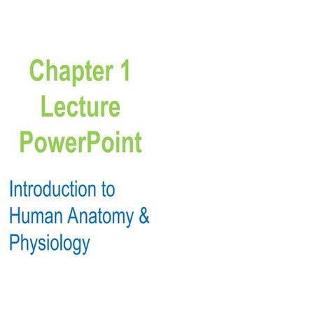 chapt01_holes_lecture_animation.power point | PPT