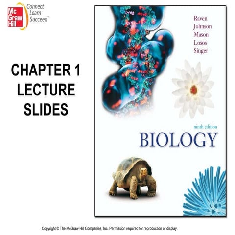 Chapt01 lecture | PPT