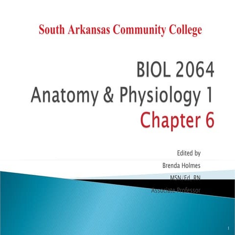 Chapter 6 Integumentary System Ppt