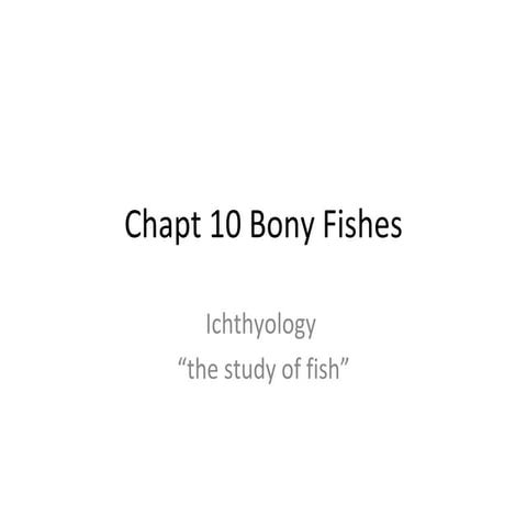 Chapt 10 bony fishes | PPT