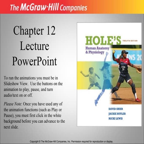 Chapt12 Holes Lecture Animation[1] | PPT