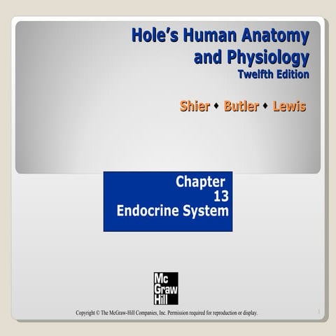 Chapt13 endocrine | PPT