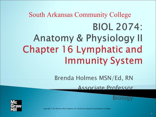 Lymphatic and immune system | PPT
