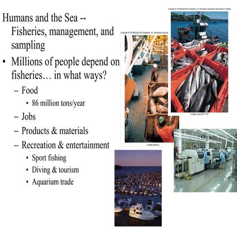 Fisheries | PPT
