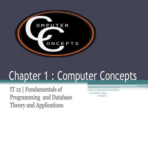Chapter 1 Computer Concepts (1) | PPT