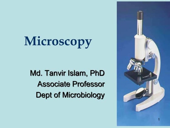 530319254-Activity-1-Basic-Microscopy.pdf