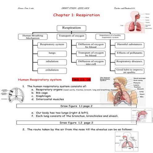 Chapter 1-respiration-doc1 | PDF