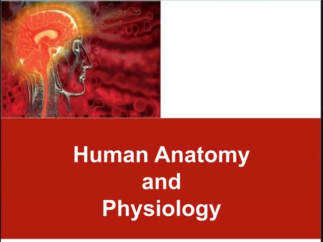 Unit i introduction to anatomical terms | PPT