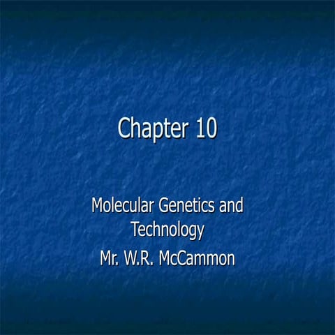 Chapter 10 Notes | PPT | Programming Languages | Computing