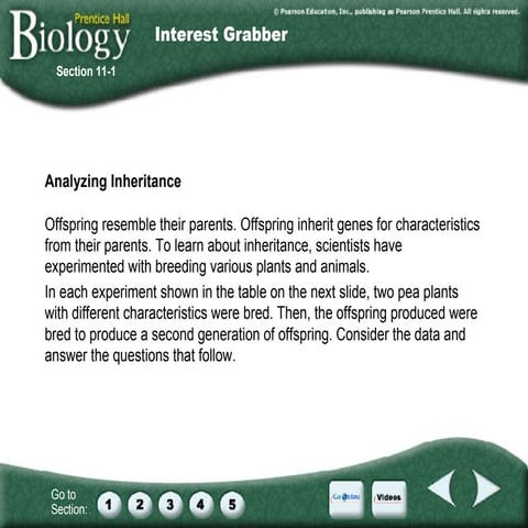 Chapter 11: Introduction to Genetics | PPT | Biological Sciences | Science
