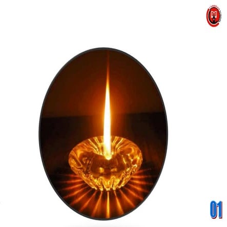 Chapter 13 Lesson 4 Pptx