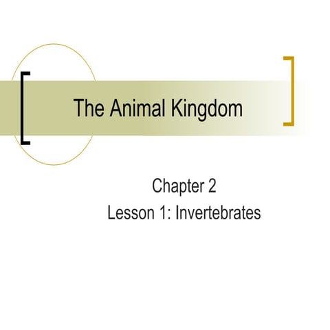 Chapter 2 Lesson 1 Invertebrates | PPT