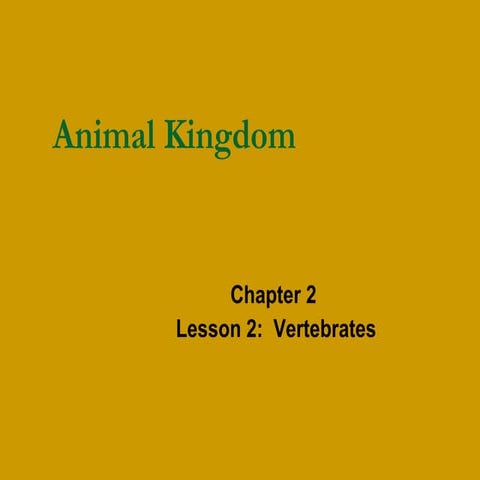 Chapter 2 Lesson 2 Vertebrates | PPT