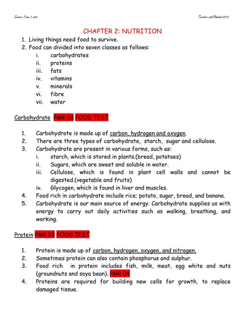 The Six Essential Nutrients: Lesson Plan And Worksheet | PDF ...