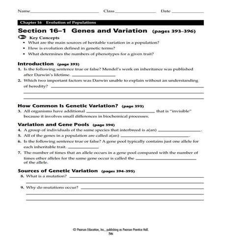 Chapter 16 wksts1 | PDF