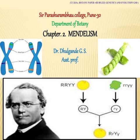 Chapter.2. Mendelism | PPT