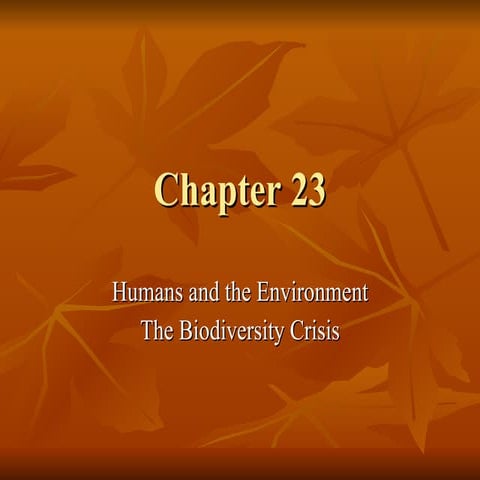 Chapter 23 Notes | PPT