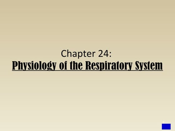 Physiology of respiration | PPT