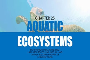 Similarities Between Terrestrial And Aquatic Animals Clipart