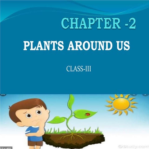 CHAPTER -2 PLANTS-III.pdf