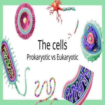 Comprehensive Overview of Prokaryotic and Eukaryotic Cells: Structure ...