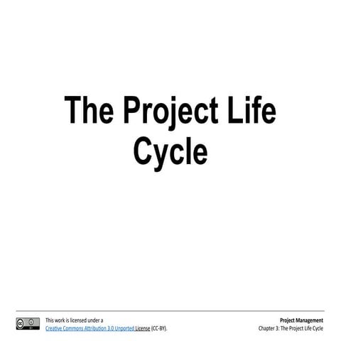 Chapter-3.pptx project life cycle presentation | PPTX
