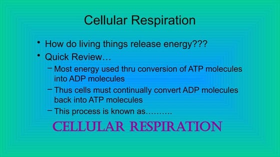 Grade 11 cellular respiration | PPTX