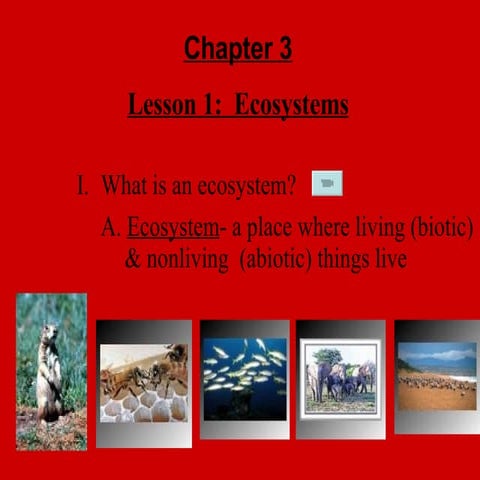 Ecosystems | PPT | Biological Sciences | Science