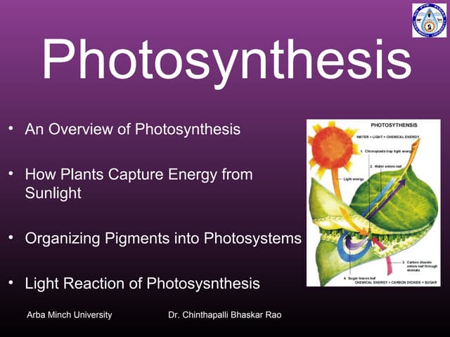Photosynthesis light dependent reactions | PPTX