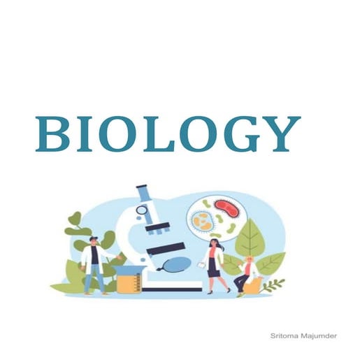 CBSE Grade 12 Science (Biology) Ch 3 Human Reproduction Notes | PDF