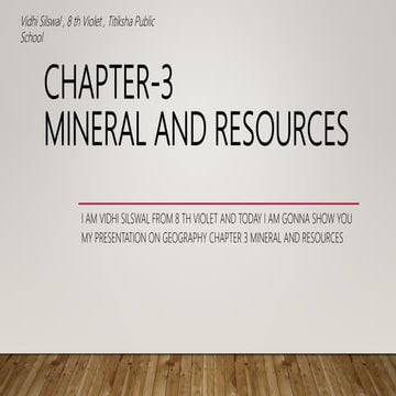 Chapter 3 mineral and power resources social science | PPTX