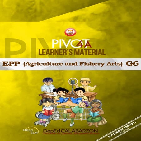 Chapter-4-Family-and-consumer-science-A.pdf