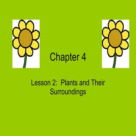 Plant Adaptations | PPT | Gardening | Home & Garden