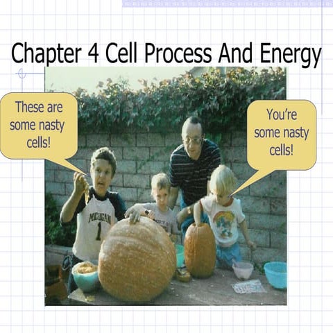 Chapter 4 Notes | PPT | Biological Sciences | Science