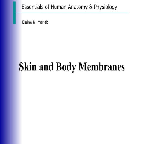 anatomy and physiology Skin Body Membranes | PPTX