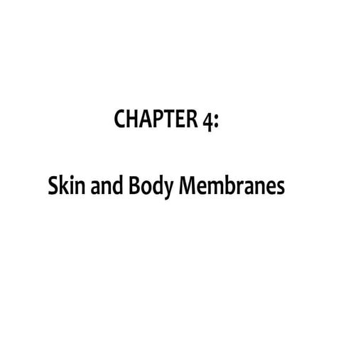 chapter-4-skin (3).pdf PPT ANATMOY AND PHYSIOLOGY | PPT