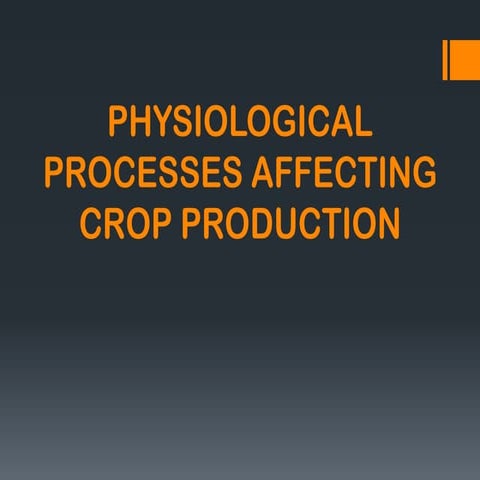 Photosynthesis | PPTX