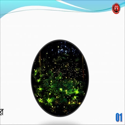 Chapter 5(lesson-1) | PPT